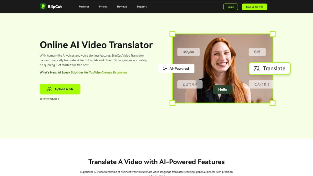 BlipCut AI Video Translator: Reviews, Features, Pricing, Guides, and ...