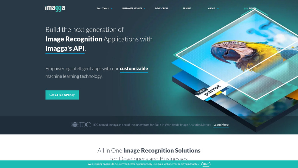 Imagga Image Recognition API Introducción: ¿Qué es Imagga Image ...