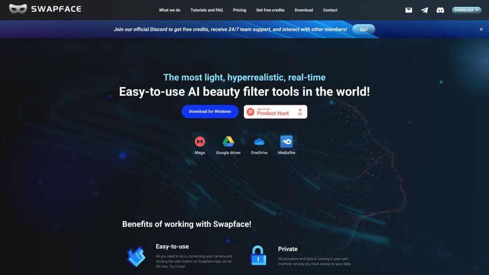 如何使用 Swapface：分步指南